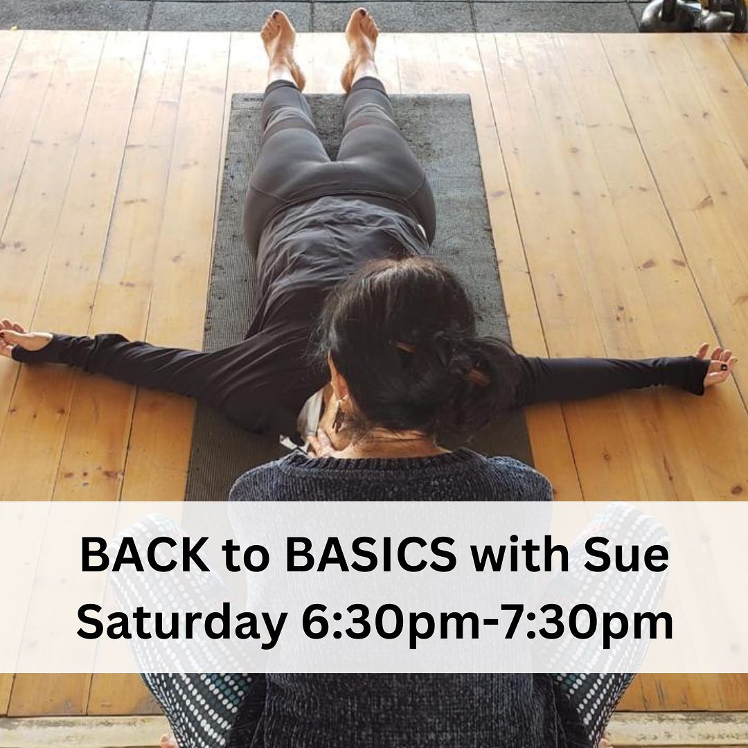 Back To Basics With Sue