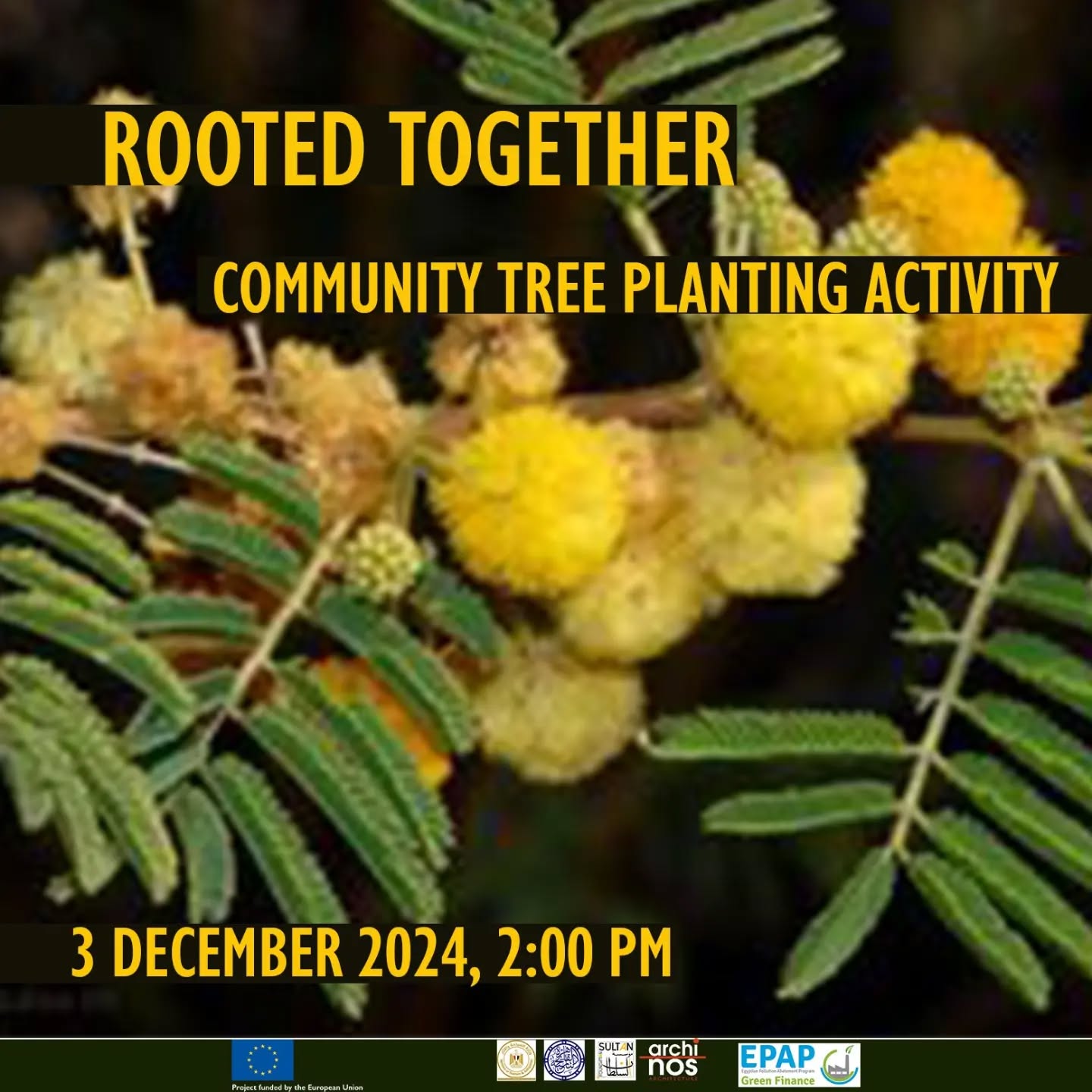 'Rooted Together' Tree Planting Activity