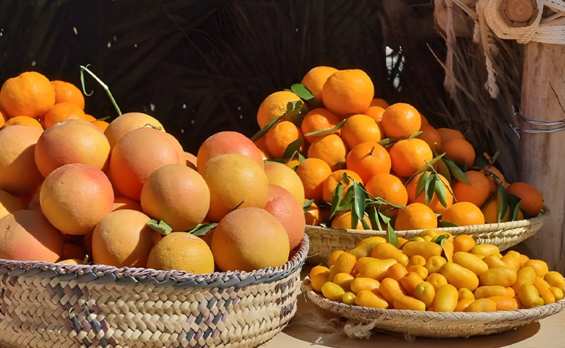 AlUla's Famous 'Winter at Tantora' Festival Return With Fifth Edition