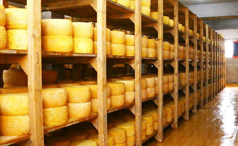 Roumy Cheese: Egypt’s Pungent, Ancient, & Addictive Icon